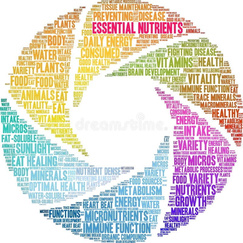 Essential Nutrients Word Cloud Stock Vector - Illustration of disease ...