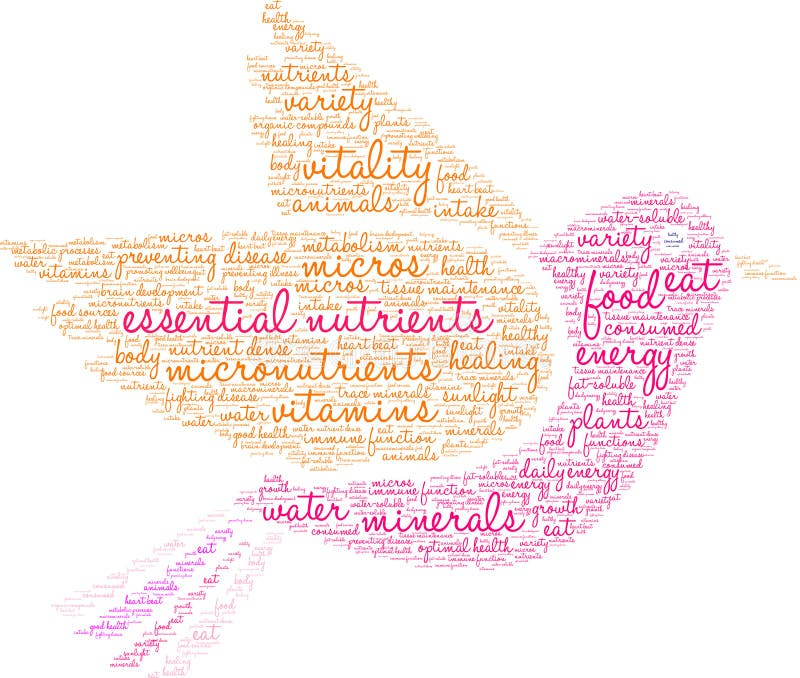 Essential Nutrients Word Cloud Stock Vector - Illustration of ...