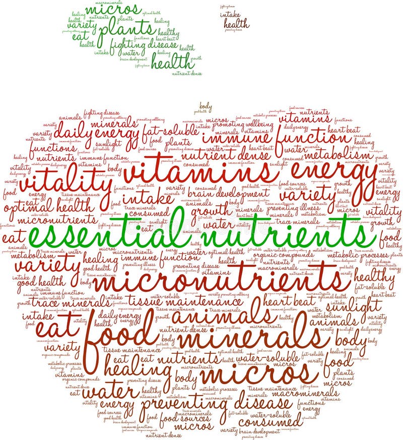 Essential Nutrients Word Cloud Stock Vector - Illustration of health ...