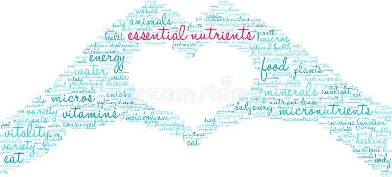 Essential Nutrients Word Cloud Stock Vector - Illustration of heart ...