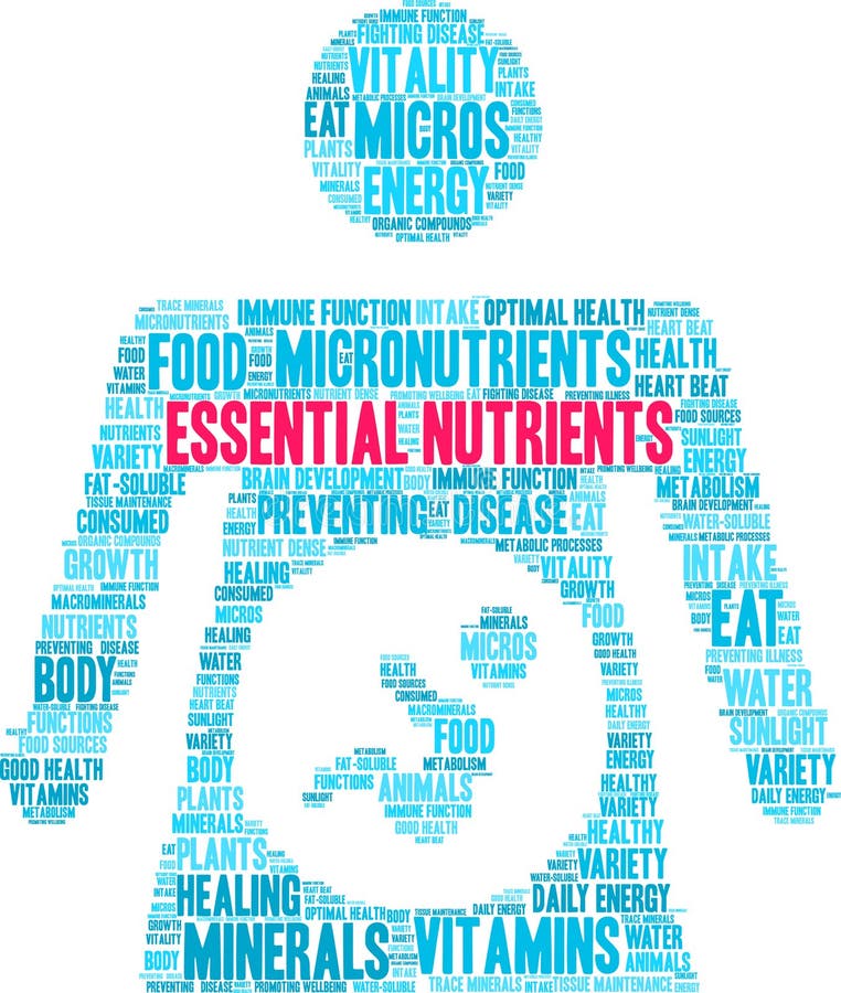 Essential Nutrients Word Cloud Stock Vector - Illustration of heart ...