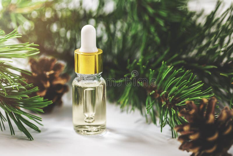 Essential Oil Bottle with Pine Tree Branch Stock Image - Image of ...