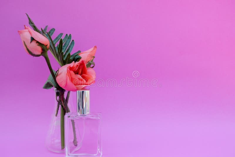 Essential Oil in Bottles Extracted from Rose Leading To Products that ...