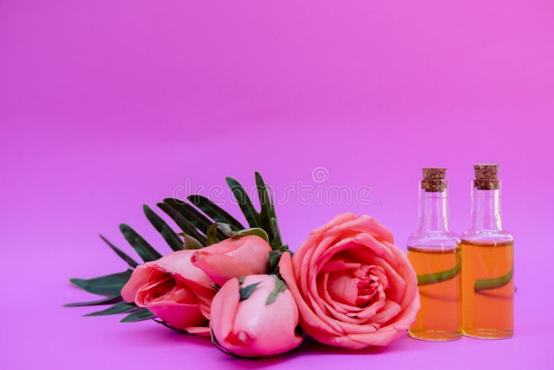 Essential Oil in Bottles Extracted from Rose Leading To Products that ...
