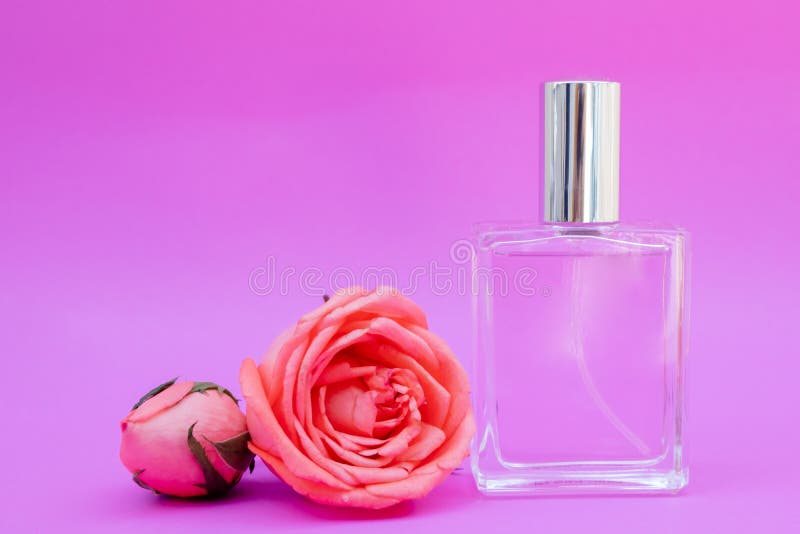 Essential Oil in a Bottle Extracted from Rose Leads To a Perfume ...