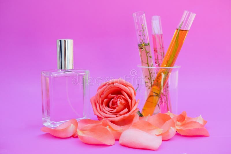 Essential Oil in a Bottle Extracted from Rose Leads To a Perfume ...