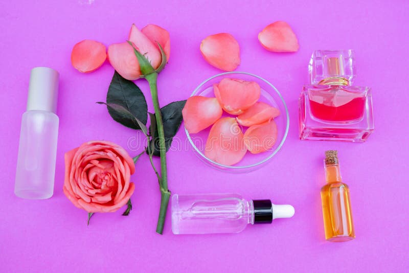 Essential Oil in a Bottle Extracted from Rose Leads To a Perfume ...