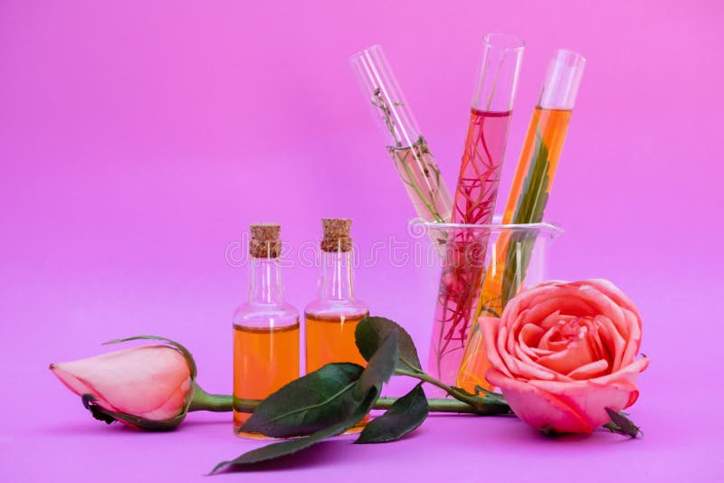 Essential Oil in a Bottle Extracted from Rose Leads To a Perfume ...