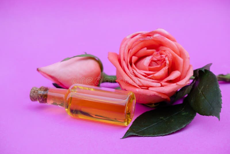 Essential Oil in a Bottle Extracted from Rose Leads To a Perfume ...