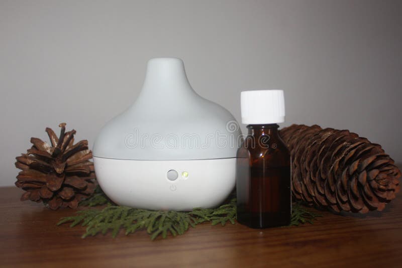 Essential Oil Diffuser with Evergreen Stock Image - Image of room ...