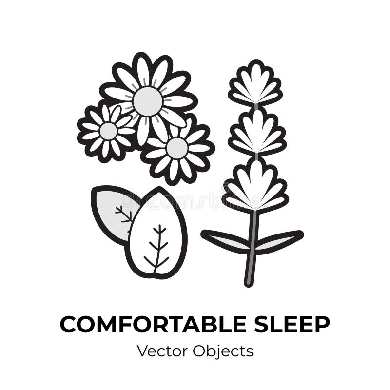 Essential Oil Extract Bottle Vector Isolated. Lavender, Chamomile ...