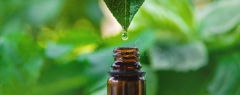 Essential Oil Extract of Medicinal Herbs in a Small Bottle. Selective ...
