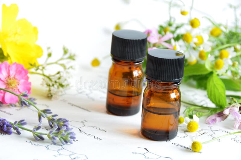 Herbs and science stock image. Image of medicine, pharmacology - 30648189