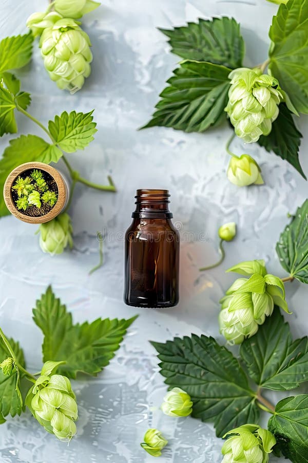 Essential Oil of Hops Top View. Selective Focus Stock Photo - Image of ...