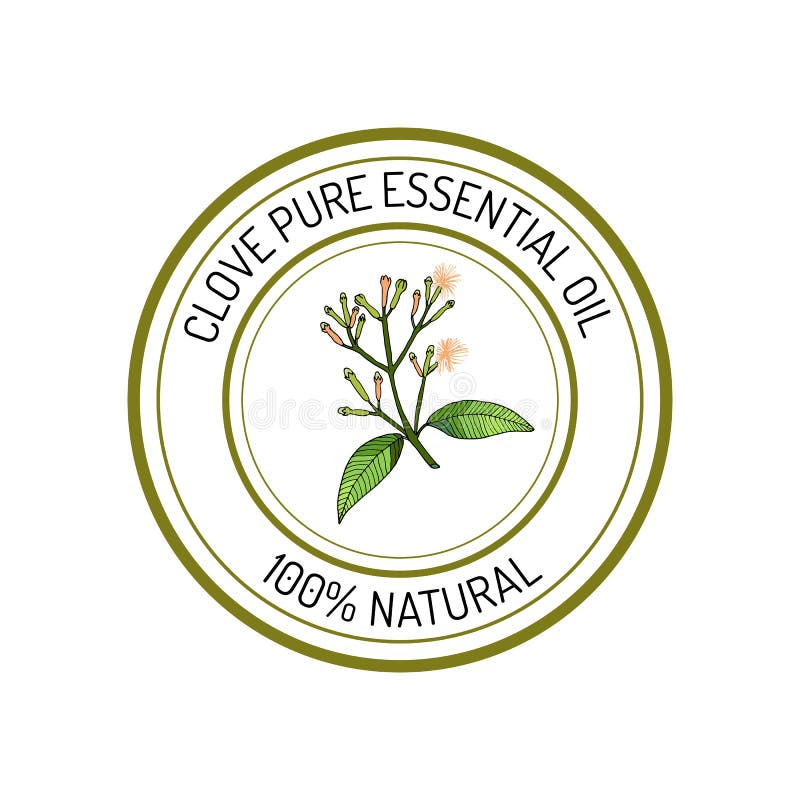 Clove, Essential Oil Label, Aromatic Plant. Stock Vector - Illustration ...
