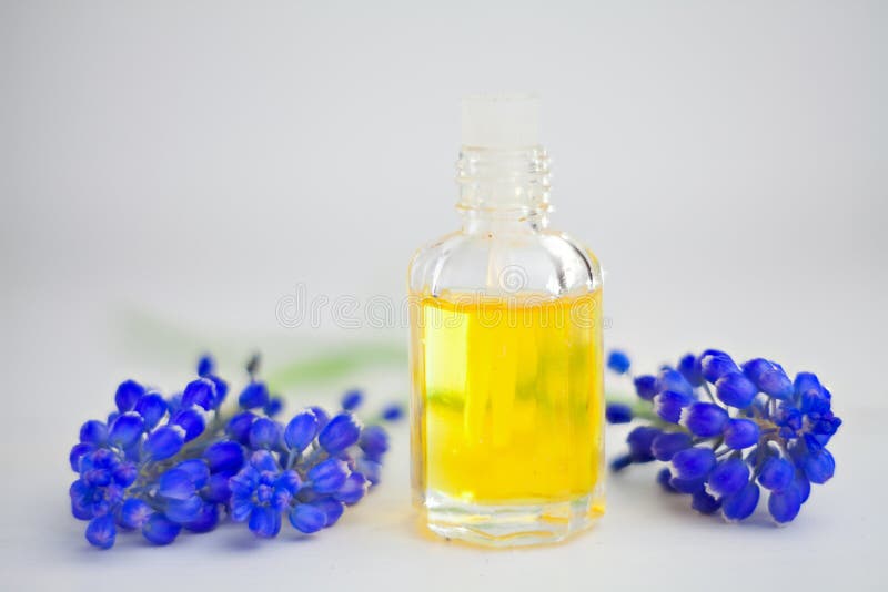 Essential Oil of Muscari Flower on a Table in Beautiful Bottle Stock ...