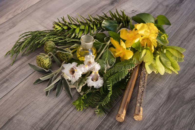 Essential oil and plants stock photo. Image of organic - 188448502