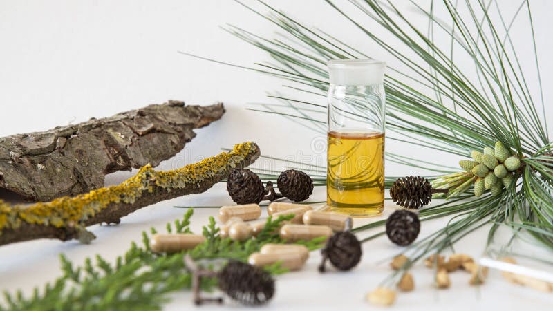 Essential oil with plants stock photo. Image of herb - 247854432