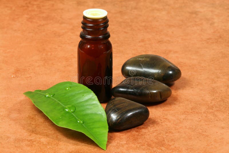 Essential oil in spa stock photo. Image of care, massage - 11789130