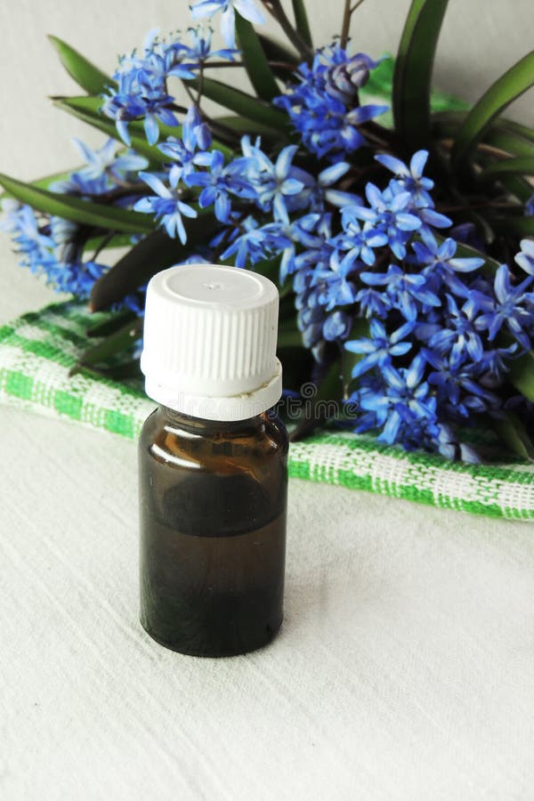 Essential Oil and Spring Flowers Stock Photo - Image of essential ...