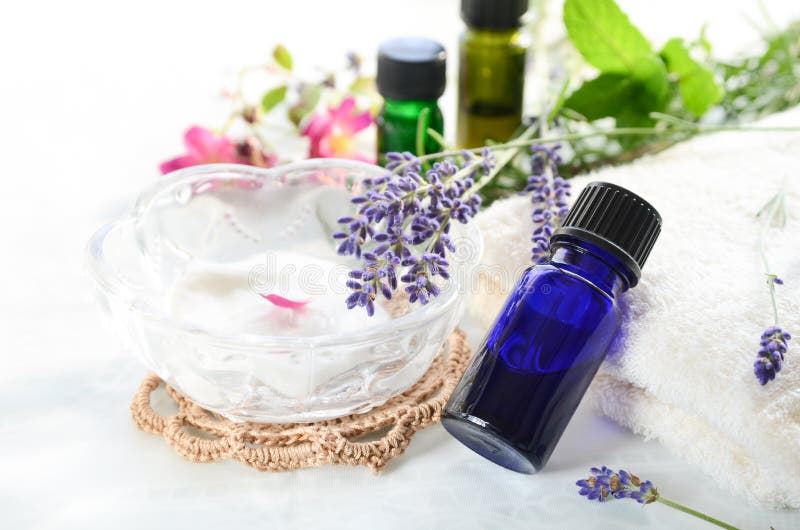 Essential Oils with Herbs and Moisturizer Cream Stock Image - Image of ...