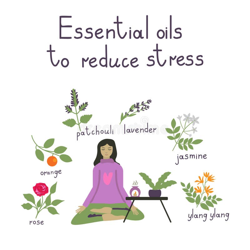 Essential Oils Illustration Stock Vector - Illustration of stylized ...