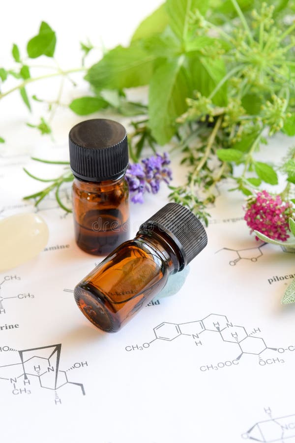 Herbs and science stock image. Image of science, petals - 50338721