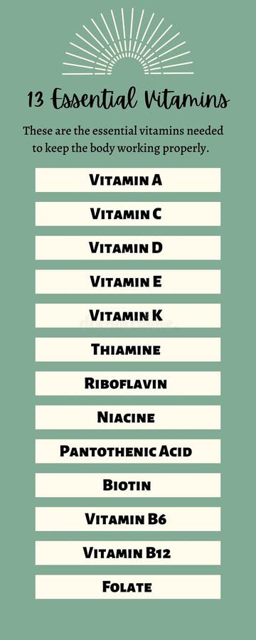 13 Essential Vitamins Health Class Science Infographic Stock ...