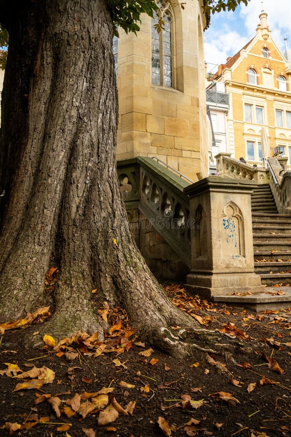 Esslingen Inner Bridge - Chestnut Tree Stairs Medieval Graffiti Leaves ...