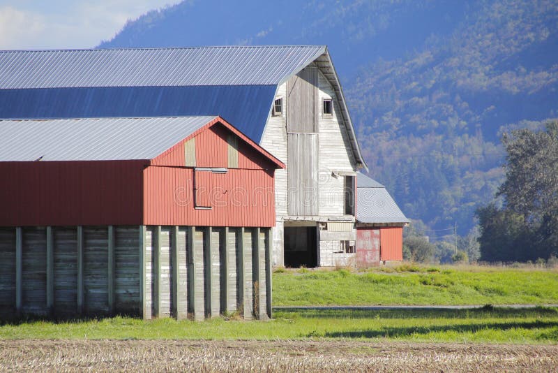 Established Rural Farm Buildings Stock Image - Image of farm, outside ...