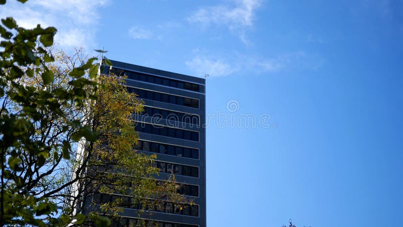 An Establishing Shot of Corporate Building with Foreground Tree Stock ...