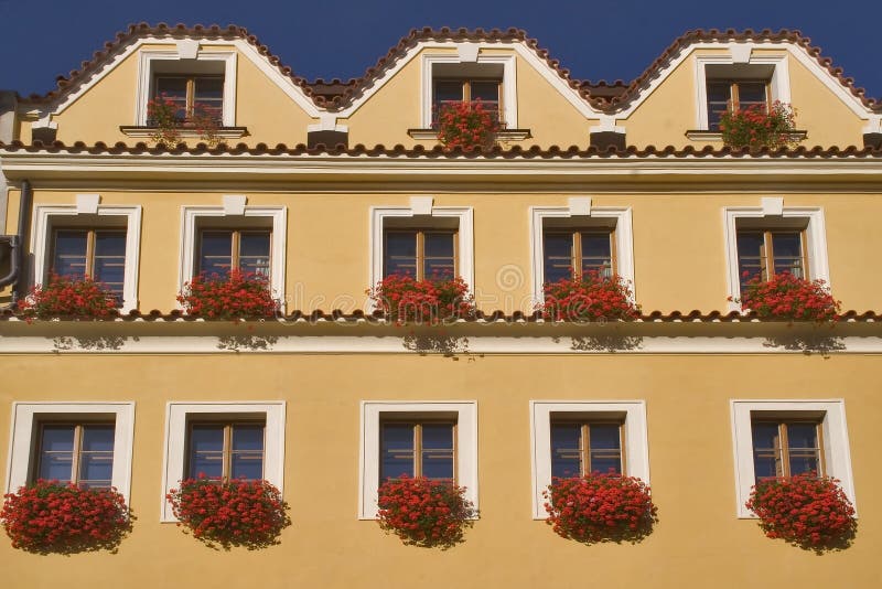 Establishment. stock image. Image of walls, facade, beautiful - 2816397