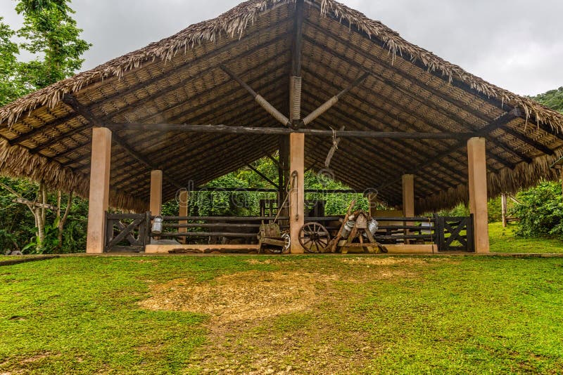 imágenes comunes del Establo - los derechos de la transferencia directa ...