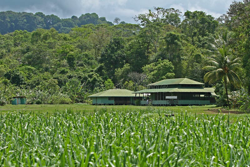 Estación Del Guardabosques De Sirena Imagen de archivo - Imagen de ...