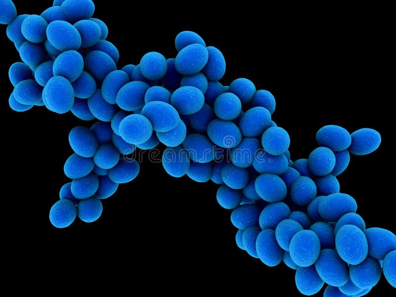 Estafilococo stock de ilustración. Ilustración de ciencia - 11953699