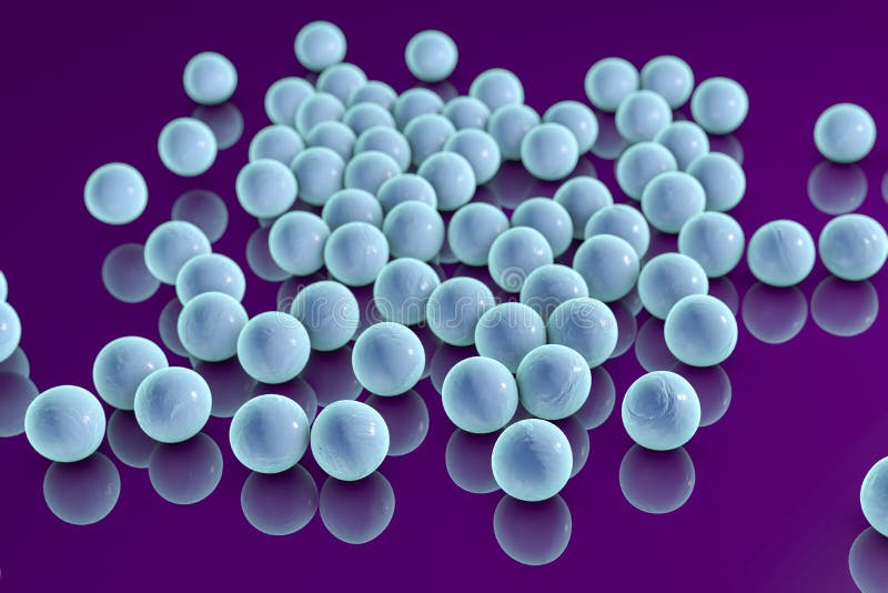 Estafilococos, Bacterias Esféricas Stock de ilustración - Ilustración ...