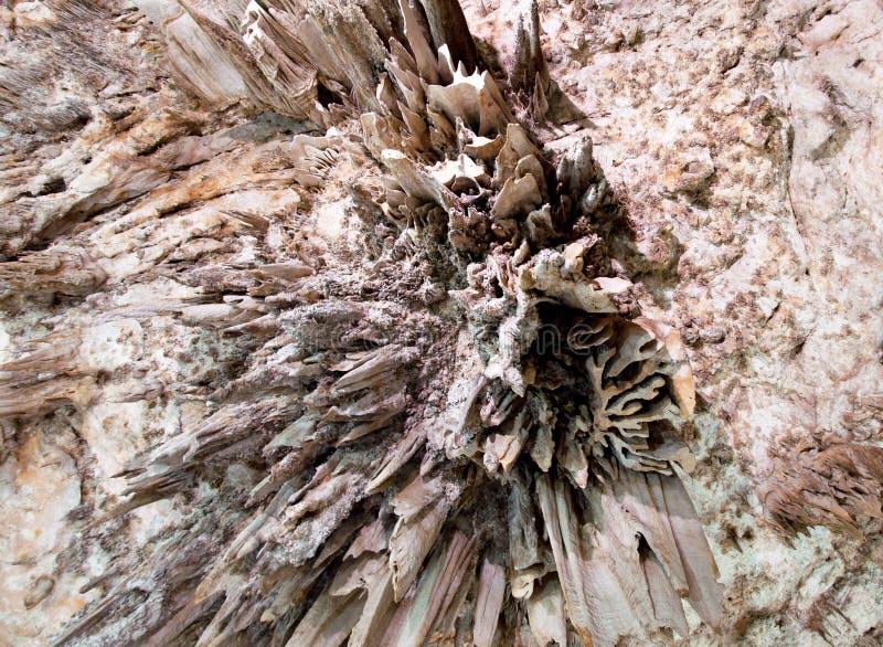 Estalactite Dentro De Uma Caverna Em Nerja - Espanha Foto de Stock ...