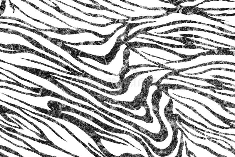 Estampado de zebra stock de ilustración. Ilustración de pelo - 43704281