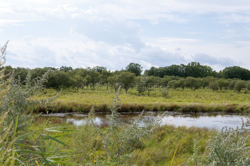 Estanque Cubierto De Barro Entre Campos Y Bosques Imagen de archivo ...