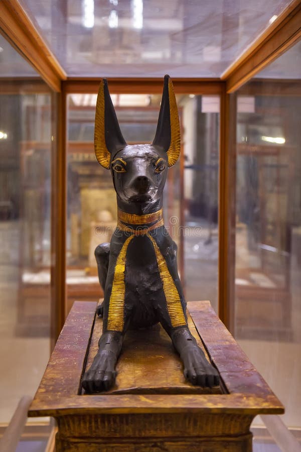 Museo De La Estatua De Anubis Museo Nuevo De Berlín Atlas De Amigos