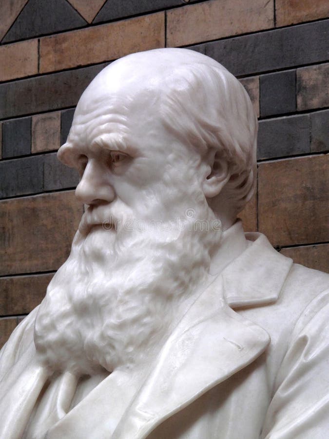 Estatua de Charles Darwin imagen editorial. Imagen de origen - 17578700