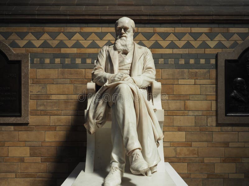 Estatua De Darwin En El Museo De Historia Natural De Londres Imagen ... Estatua De Darwin En El Museo De Historia Natural De Londres Imagen ...