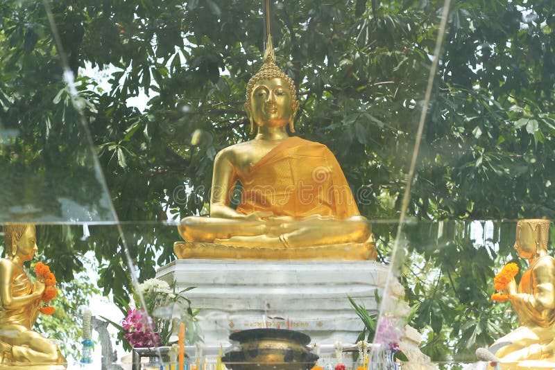 Estatua De Oro De Buda De La Reflexión Imagen de archivo - Imagen de ...