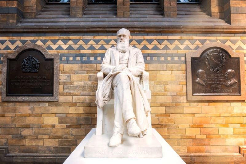 Estatua De Sir Charles Darwin En El Museo De La Historia Natural En ... Estatua De Sir Charles Darwin En El Museo De La Historia Natural En ...