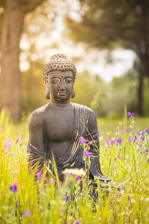Buda da natureza foto de stock. Imagem de nave, verde - 149935466