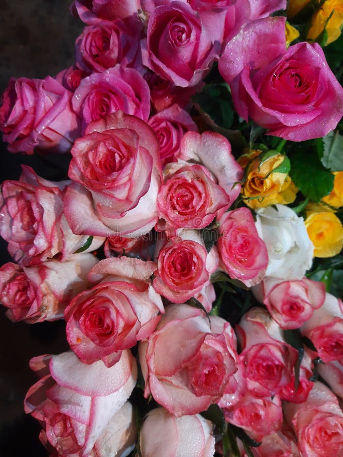 Este Es Un Buke De Flores Rosadas Foto de archivo - Imagen de boda ...