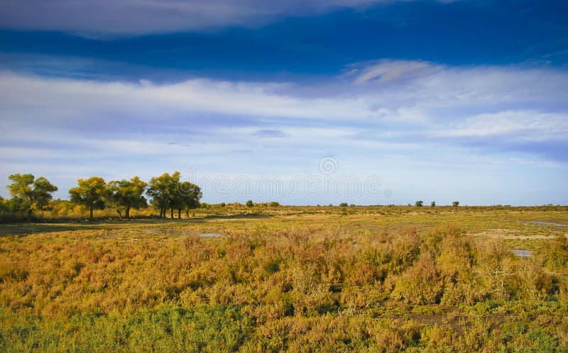 Estepa Fotos De Stock - Descarga 65,740 Fotos Libres de Derechos