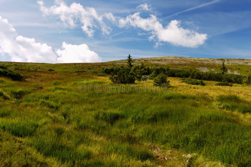 Estepa Fotos De Stock - Descarga 65,740 Fotos Libres de Derechos