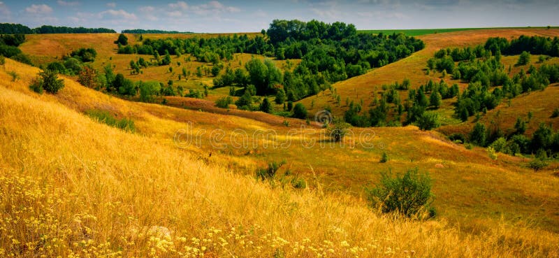 Paisaje de la estepa imagen de archivo. Imagen de prado - 3466315