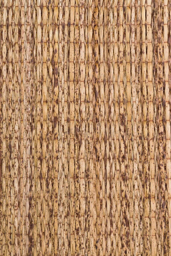 Estera local stock de ilustración. Ilustración de fondo - 83353505